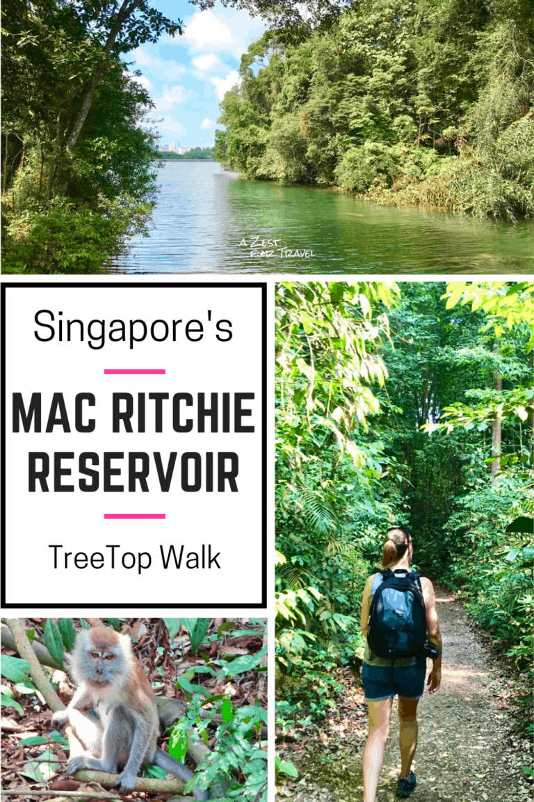 MacRitchie Reservoir Park and Treetop Walk | A Zest For Travel