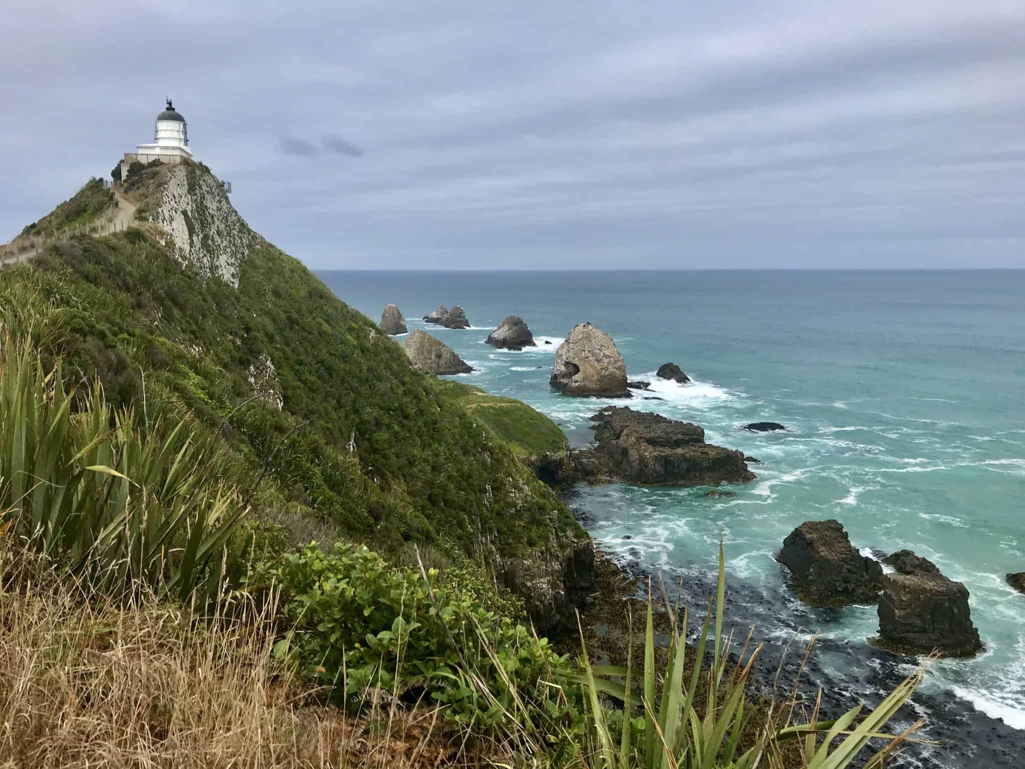 Amazing Things To Do In The Catlins Coast | A Zest For Travel